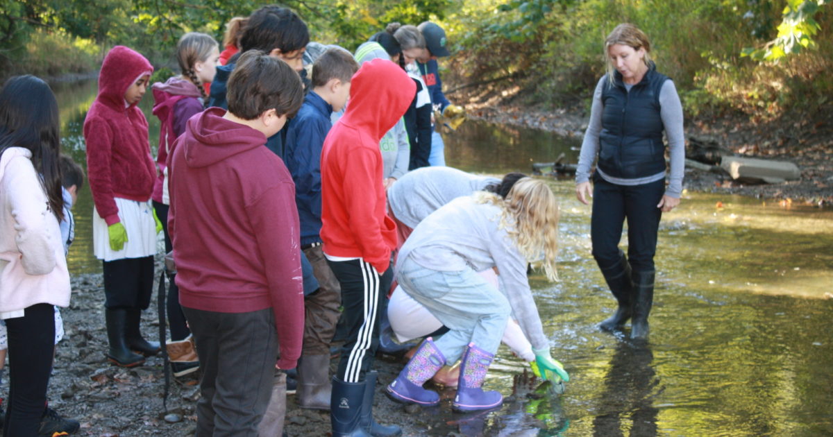 Student Watershed Watch | Toledo Metropolitan Area Council of Governments